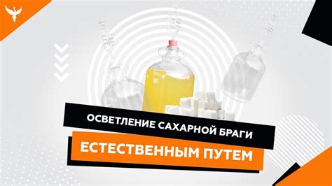 Осветление сахарной браги естественным путем - YouTube