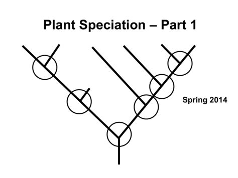 Plant Speciation