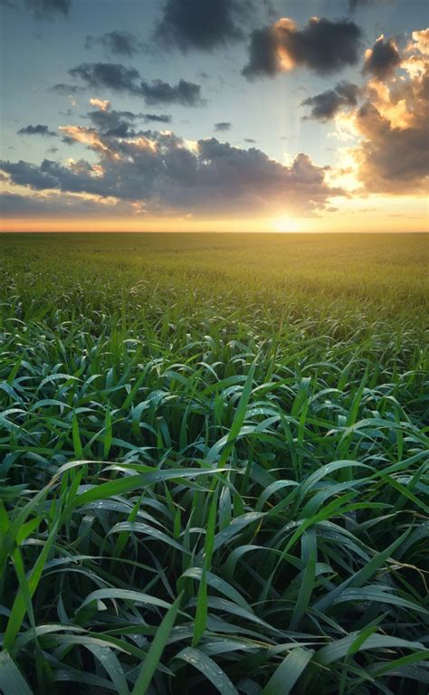 Sustainable Agriculturemodern Farming Practiceseco Friendly
