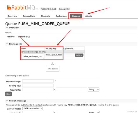 rabbitmq使用插件实现延迟消息，常见问题解决方案 rabbitmq延迟插件没有延迟 csdn博客