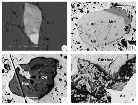 Minerals Special Issue Native Gold As A Specific Indicator Mineral For Gold Deposits
