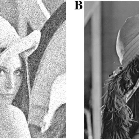 Analysis Of Visual Quality Of Restored Medical Image Gaussian Noise Download Scientific