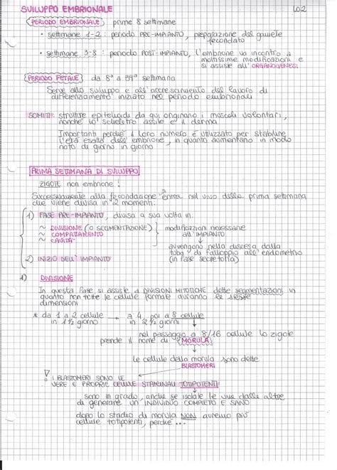 Prima E Seconda Settimana Di Sviluppo Docsity