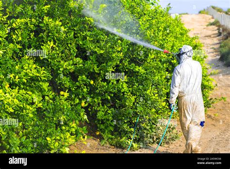 Weed Control Spray Fumigation Industrial Chemical Agriculture Man