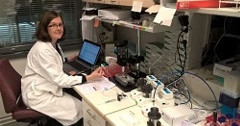 Single Cell Encapsulation For Autoimmune Disease Research Using