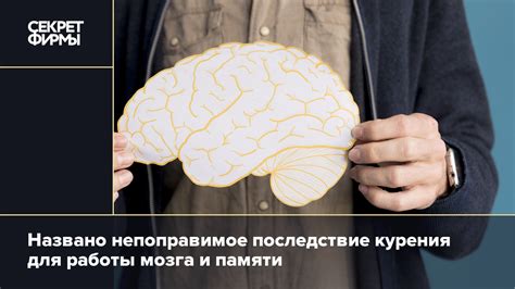 Как курение влияет на мозг Ответ врача Жизнь — Секрет фирмы