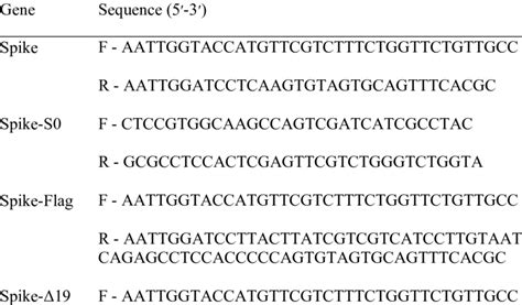 Primers Used For Cloning And Pcr Mutagenesis 710 Download Scientific Diagram