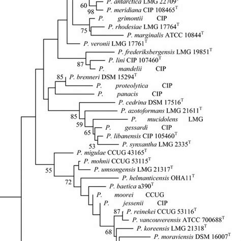 Pseudomonas Kribbensis Sp Nov Isolated From Garden Soils In Daejeon