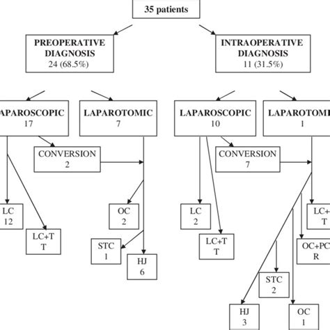 Csendez Classification Of Mirizzi Syndrome Download Scientific Diagram