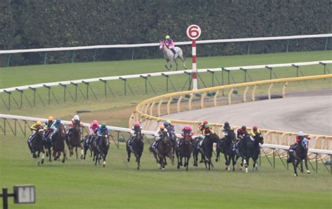 2011年の天皇賞・秋で競走中止するメイショウベルーガ ― スポニチ Sponichi Annex ギャンブル