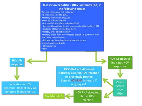 Managing Hepatitis C In Vermont Ppt Download