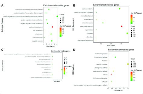 Go And Kegg Pathway Analysis A Biological Process Of Go B