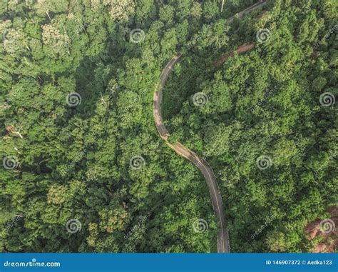 Draufsicht Der Landstra E Des Weges Durch Den Gr Nen Wald Und Der