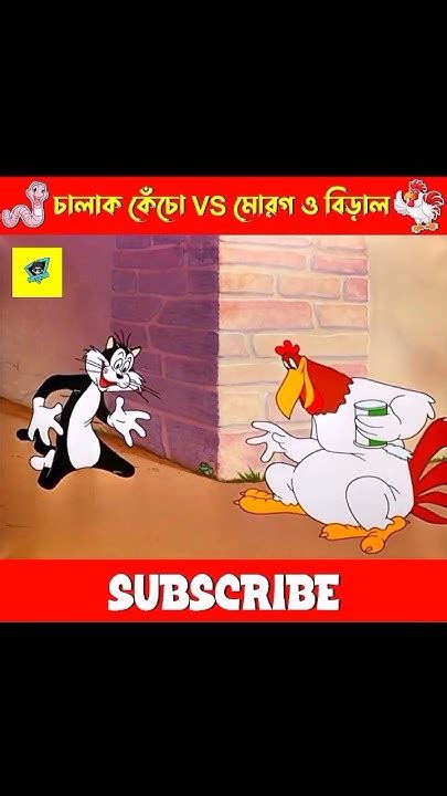 মোরগ ও বিড়াল মিলে সামান্য কেঁচো ধরতে গিয়ে নাজেহাল 🤣🤣🤣 Youtube