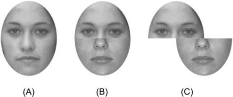 Composite Effect Honggarae