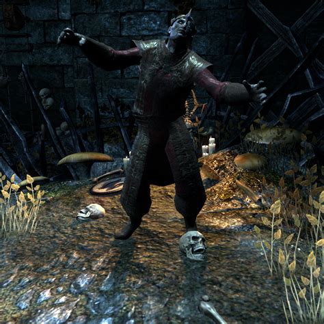 Император Леовик существо The Elder Scrolls Wiki Fandom