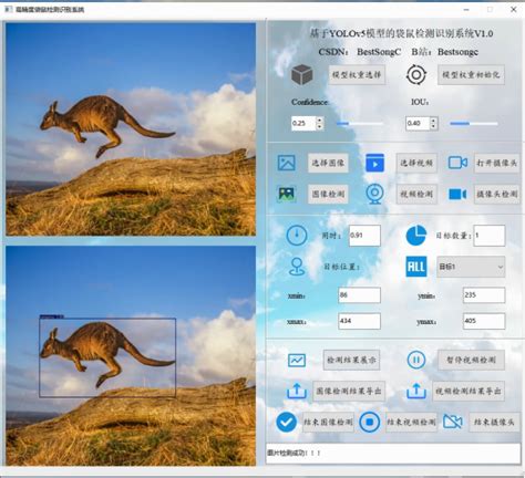 基于深度学习的高精度袋鼠检测识别系统（pytorchpyside6yolov5模型） 知乎