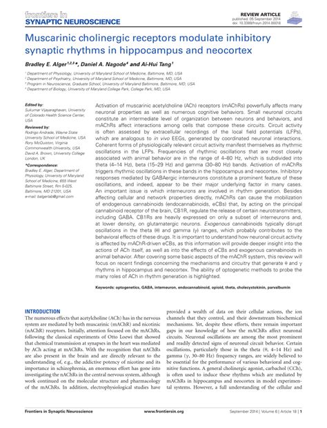 Pdf Muscarinic Cholinergic Receptors Modulate Inhibitory Synaptic Rhythms In Hippocampus And