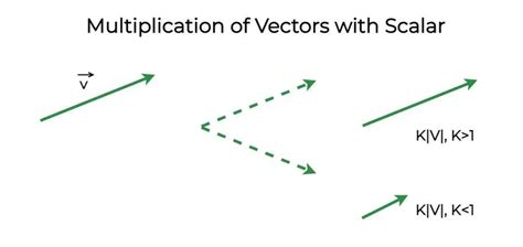 Scalar And Vector Geeksforgeeks