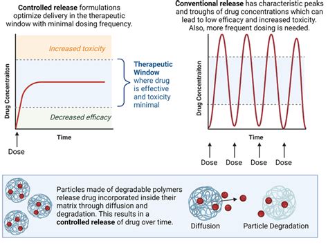 Controlled Release Defined And Illustrated With Release Of Drug From