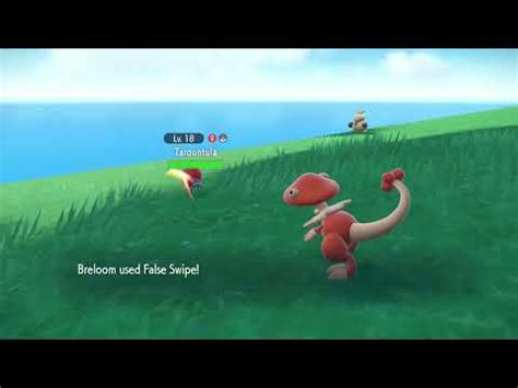 Shiny Tarountula 2 Scarlet Violet YouTube