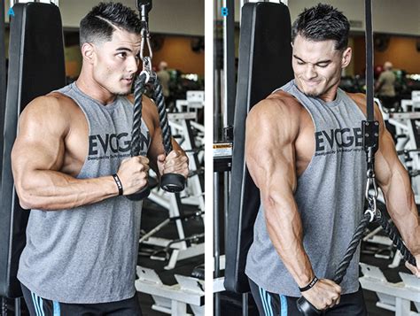 Fitness Workout How To Get Big Arms In Weeks
