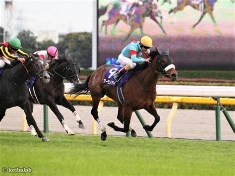 天皇賞（秋）【2020年11月1日東京11r】 競馬ラボ