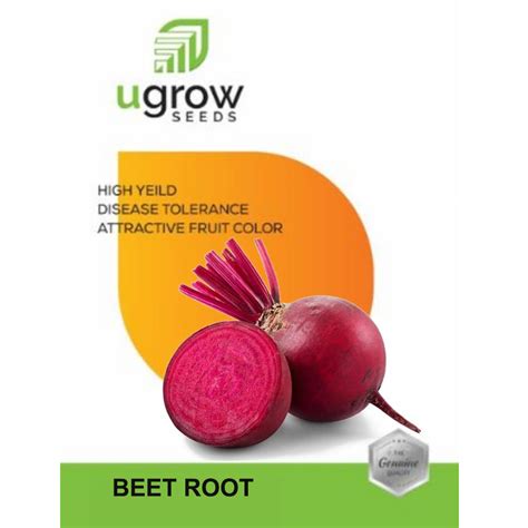 Beet Root Vegetable Seed Ugrow Seeds