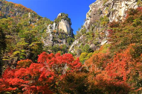 山梨県 御岳昇仙峡 覚円峰と天狗岩と紅葉 126630455 の写真素材 アフロ