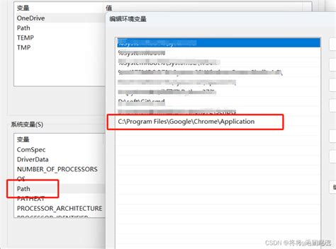 Selenium 安装chrome驱动selenium 谷歌驱动 Csdn博客