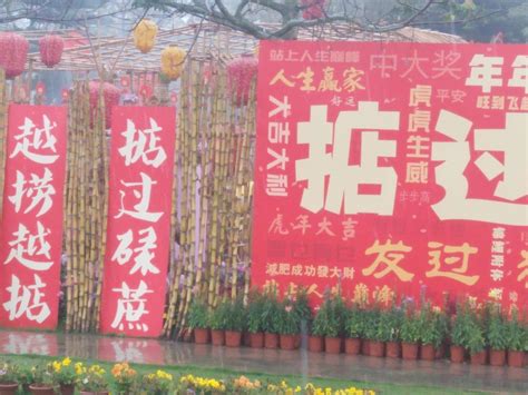 文字趣谈为何过年在门口放蔗掂过碌蔗的来由 知乎