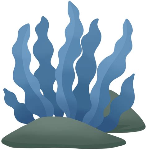 Resultado De Imagen De Dibujos De Algas Png Hongos Dibujos Hongos