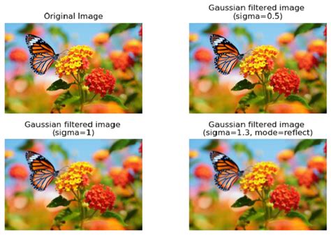 Scikit Image Gaussian Filter