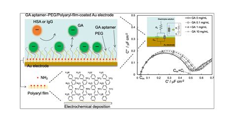 Aptamer Based Glycated Albumin Sensor For Capacitive Spectroscopy Analytical Chemistry