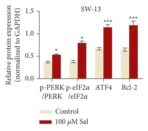 Effect Of Sal In The Expression Of Apoptotic And Perkeif2α