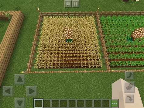 Minecraft Wheat Farm Design