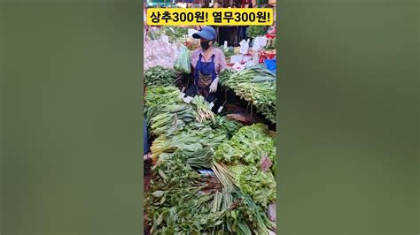 상추300원 열무300원 여기서 살고싶네 시장 할인 세일 야채 채소 폭락 Youtube
