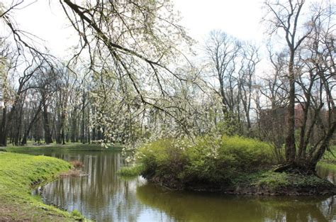 Park Miejski w Gnieźnie w wiosennej odsłonie Przyroda obudziła się do