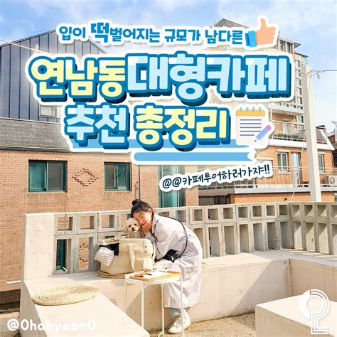 연남동 에 있는 대형카페 추천 총정리📝 넓은 공간에서 편하게 사진찍고 홍대 연남 합정에서 뭐 하지