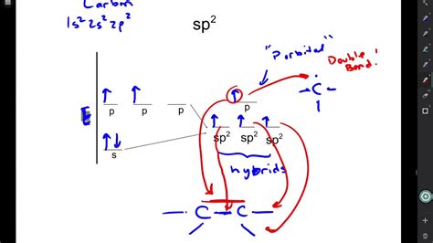 08 Hybridization Youtube