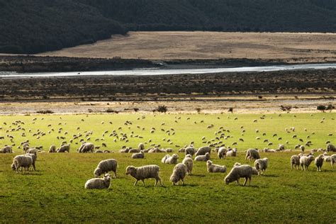 “el Elohé Israël” Jacob Transformé Par La Grâce De Dieu Et Vous