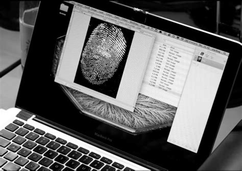 Final Image Of The Fingerprint Download Scientific Diagram