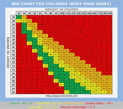 Bmi Calculator In Pounds And Inches Aljism Blog