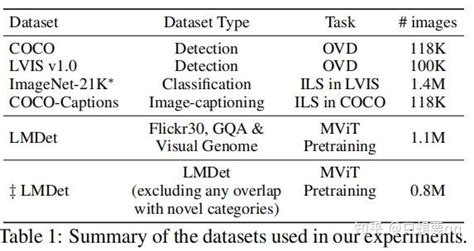 Bridging The Gap Between Object And Image Level Representations For Ovd