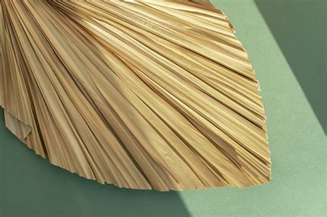 마른 야자수 잎의 질감은 녹색 배경에 햇빛과 그림자를 닫습니다 최소한의 자연의 개념 떠남에 대한 스톡 사진 및 기타 이미지