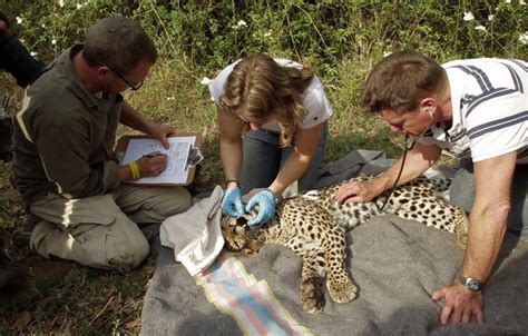 Felicitys A Cheater…and Heres The Proof Justin Bonello