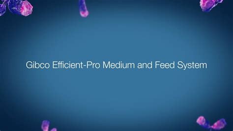 Efficient Pro Medium And Feed Why Choose Pro Youtube