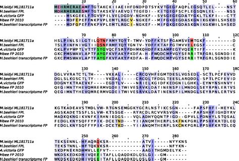 Multiple Sequence Alignment Of Fpls Multiple Sequence Alignment Of