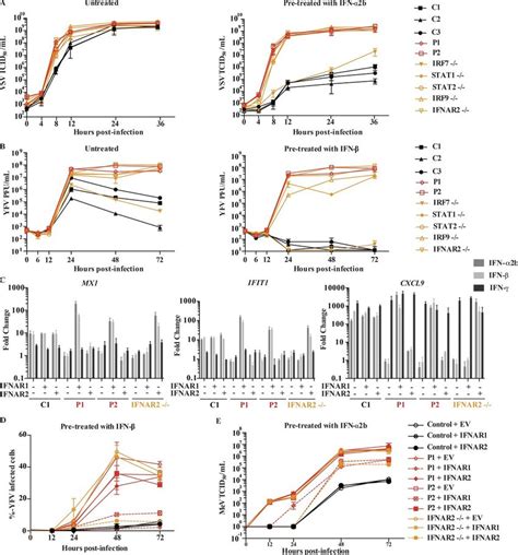 Ifnar1 Is Required For Type I Ifn Mediated Cell Intrinsic Immunity To