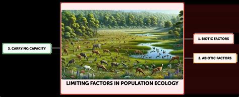 Limiting Factors In Population Ecology Algor Cards